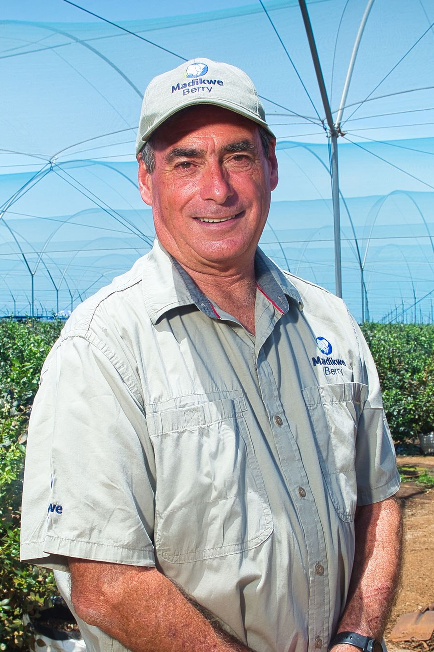 About us – Madikwe Berry